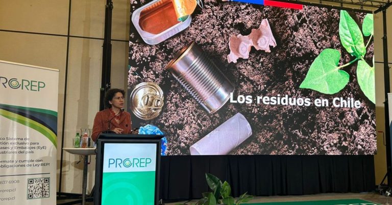 Ministra Rojas y la implementación de la Ley REP en Biobío: Una medida que podría cambiar el ...